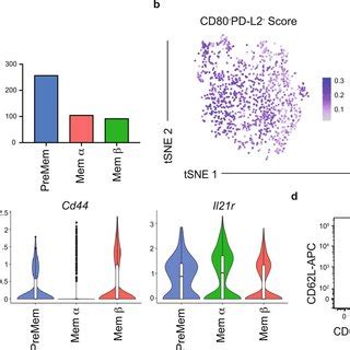 Analysis Of Memory Cluster Cells A Number Of Cells Per Cluster Left Download Scientific