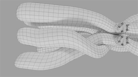 Chromosome Genetic Recombination 3d Model Superhive Formerly Blender