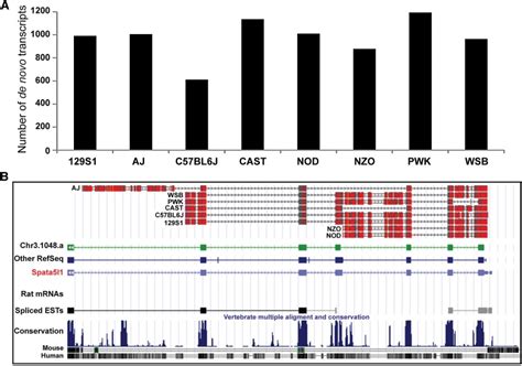 De Novo Transcripts That Do Not Map To Existing Mouse Genes The De