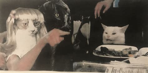 Yelling At Cat Meme Template