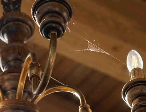 Your Brief Guide To The Electrical Powerpoint Jtb Electrical