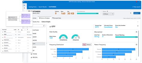 SAS Information Governance SAS India