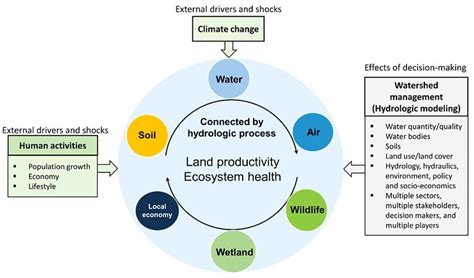 Schematic Representation Of The Interactions Among Different Download Scientific Diagram