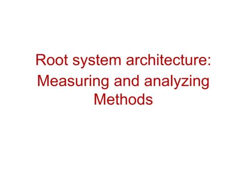 Root Phenotyping Pptx Gardening Home And Garden