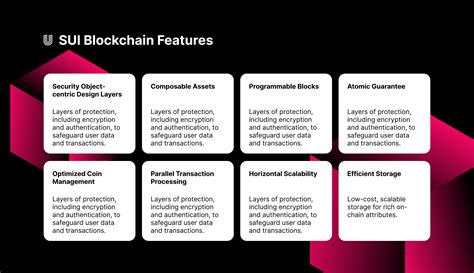 Demystifying The Sui Blockchain A Comprehensive Overview