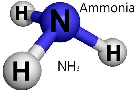 What Is Ammonia Gas Classified As At Travis Day Blog