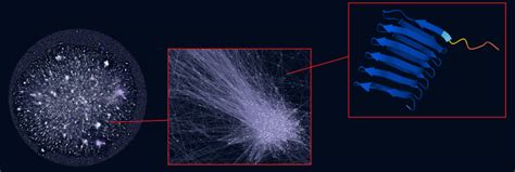 Two New Papers Analyze In Detail The Protein Universe Unveiled By