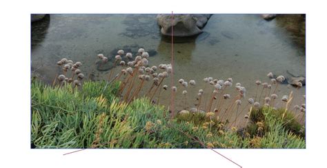 Adobe Photoshop How To Split A Rasterized Image Into Multiple Pieces