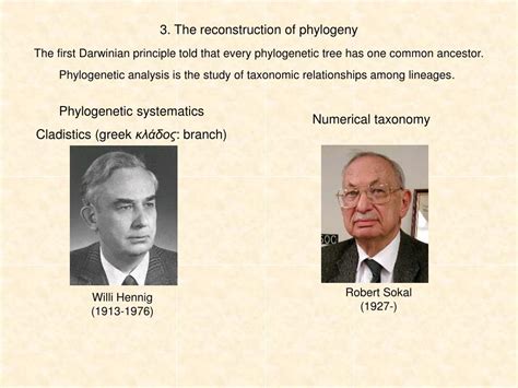 Ppt 3 The Reconstruction Of Phylogeny Powerpoint Presentation Free