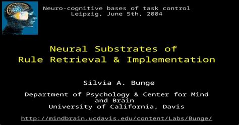 Ppt Neural Substrates Of Rule Retrieval And Implementation Silvia A Bunge Department Of