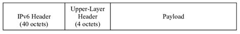 5 IPv6 Datagram Structure Download Scientific Diagram