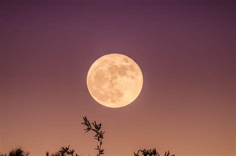 Moonrise Wallpapers Top Free Moonrise Backgrounds Wallpaperaccess