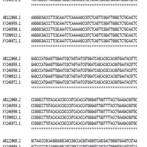 clustal multiple sequence alignment by muscle 3 8 download