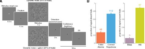 Figure 1 From Spontaneous Activity Patterns In Primary Visual Cortex Predispose To Visual