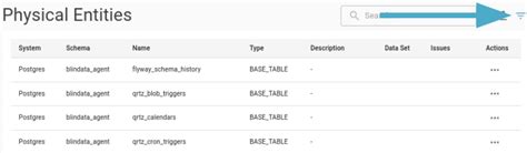 Blindata Help Systems Entities And Fields