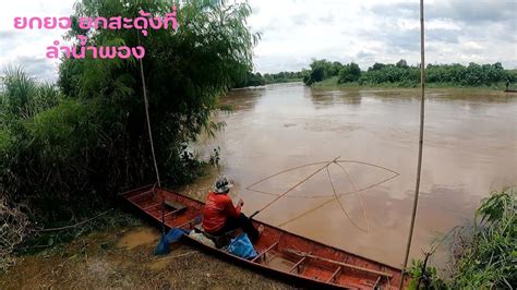 ยกยอ ลำน้ำพอง น้ำยังเยอะ ปลาก็ยังถูกอยู่ Youtube