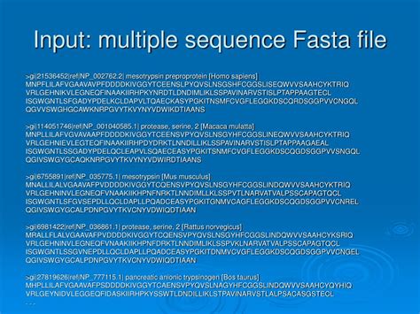 Ppt Multiple Sequence Alignment Msa And Phylogeny Powerpoint