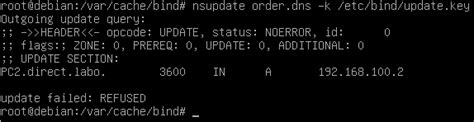 Dns Nsupdate Not Working With An Input File Super User