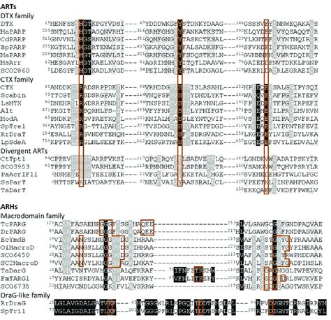 Protein Sequence Alignments Of Art And Arh Representatives Art Download Scientific Diagram