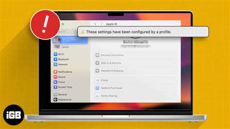 Fix These Settings Have Been Configured By A Profile” In Macos
