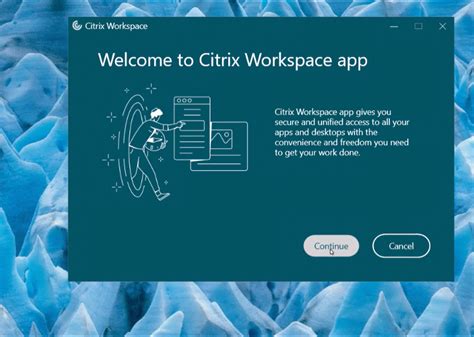 Installation Und Deinstallation Citrix Workspace App 2402 Ltsr Für