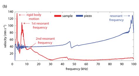 Laser Vibration Measurement Enhances Osteoarthritis Therapy Polytec Magazine