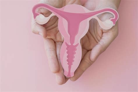 28 Facts About Ovarian