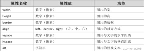 html——基础语法及常用标签 网页的基本标签作用和语法 csdn博客