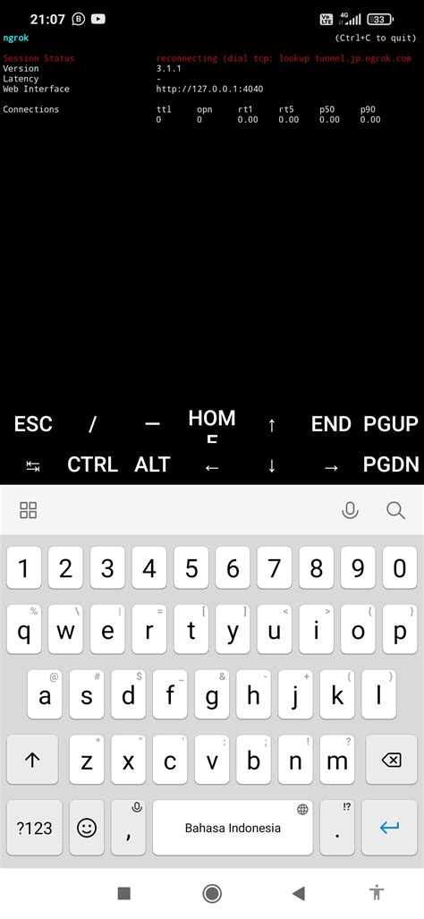Ngrok Status Reconnecting Issue · Issue 446 · Inconshreveable Ngrok · Github