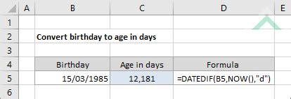 Convert Birthday To Age In Days Excel VBA