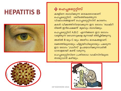 Immunisation Importance And Basic History Ppt