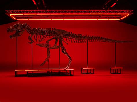 T Rex Skeleton