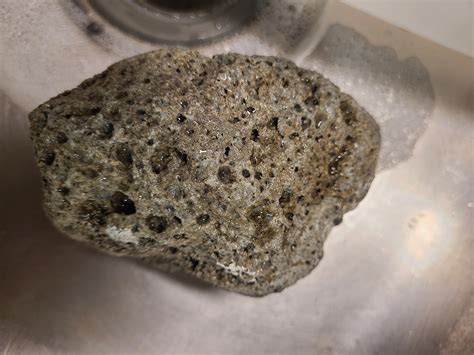 Coral Concrete Rock Rwhatsthisrock