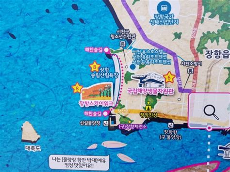 충남 서천 가볼만한곳 장항 스카이워크 장항 송림 산림욕장 힐링코스 기벌포 해전 전망대 송림해변 금강하구둑 놀이공원 네이버 블로그