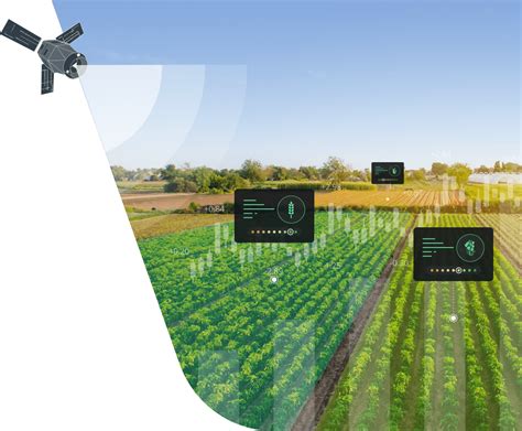 Satellite Agriculture Imagery Analytics For Financial Institutions