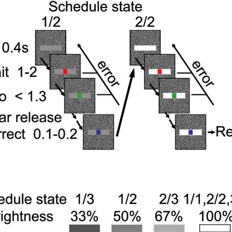 Visually Cued Reward Schedule Task A Visually Cued Two Trial Reward Download Scientific