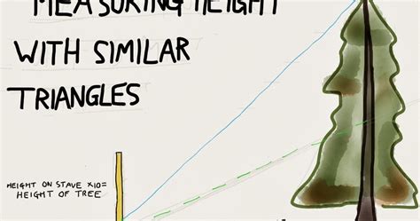 Ropes And Poles Measuring The Height Of An Object With Similar Triangles