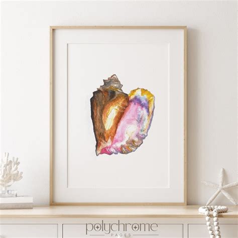 Conch Shell Art Etsy