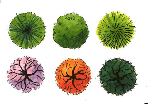 Tree Draw Top Pesquisa Google Tree Plan Photoshop Tree Plan Tree Photoshop