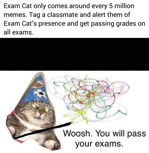 2024 Cat Exam Date Kacy Lisetta