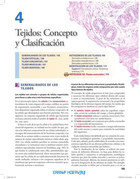 Tejidos Concepto Y Clasificación Sebastian Udocz