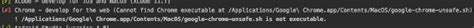 Flutter Web App Error Chromeexecutable “” Is Not Executable · Issue 67622 · Flutterflutter