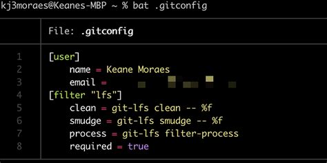 Problem With Lfs Pull Models Hugging Face Forums