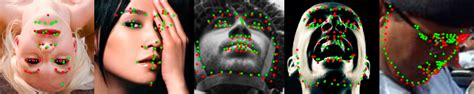 Figure 15 From Heatmap Guided Selective Feature Attention For Robust Cascaded Face Alignment