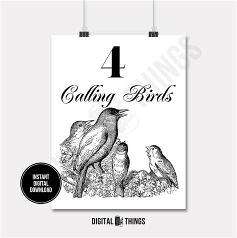 Four Calling Birds Print 12 Days Of Christmas Art Printable Digital