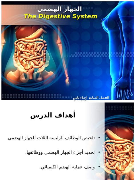 الجهاز الهضمي 1 Pdf