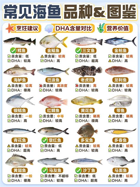 深海鱼包括哪些鱼图片 抖音