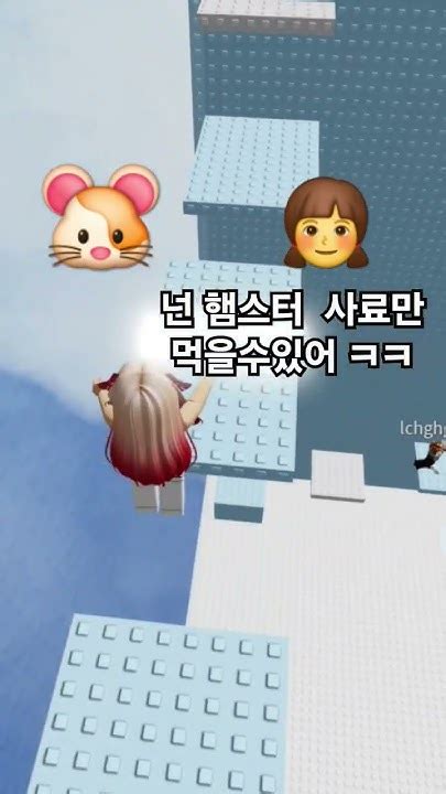 추천추천 햄스터 사람 게임 로블 Youtube