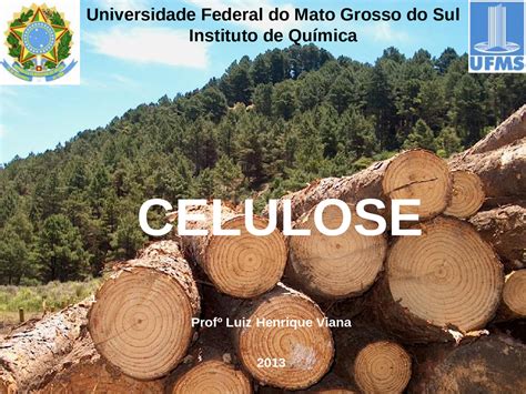 Celulose O Que é Funções Fonte De Celulosetipos De Cel Obtenção De