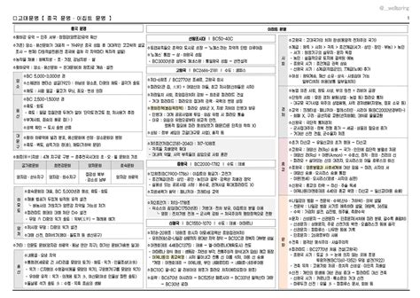 단 한 권의 세계사 요약노트 드립니다 크몽